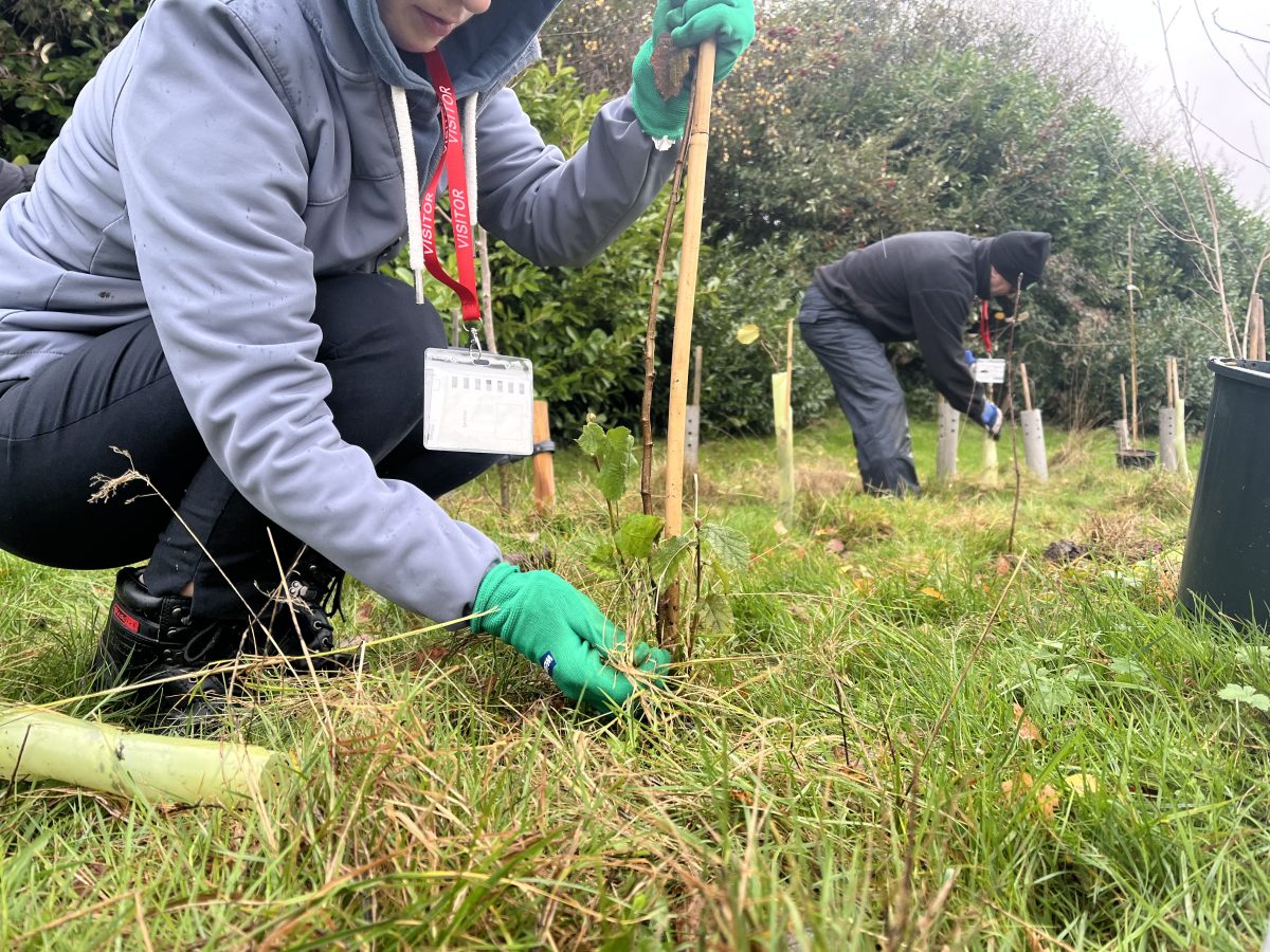 National Highways links up with charity to plant three million trees ...